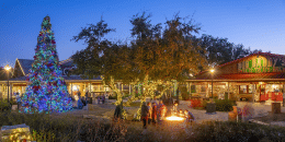 Christmas at the Caverns Returns to Natural Bridge Caverns
