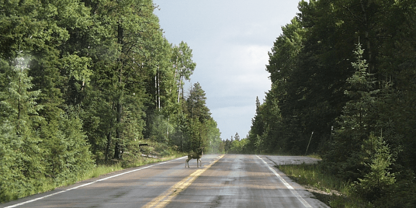 Coronado Trail National Scenic Byway | I-10 Exit Guide