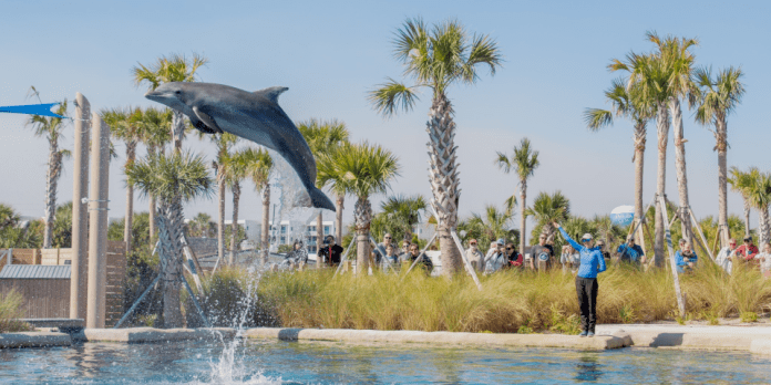 Gulfarium Marine Adventure Park - Fort Walton Beach, FL